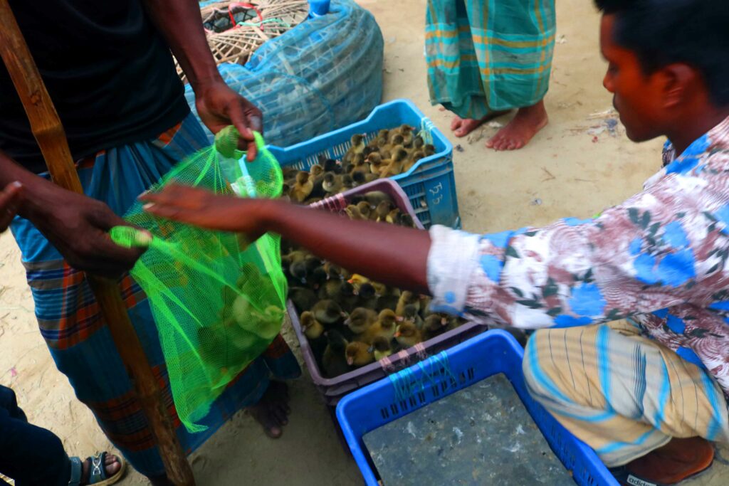 Hash Palon village Photography in Bangladesh - MasterBundles