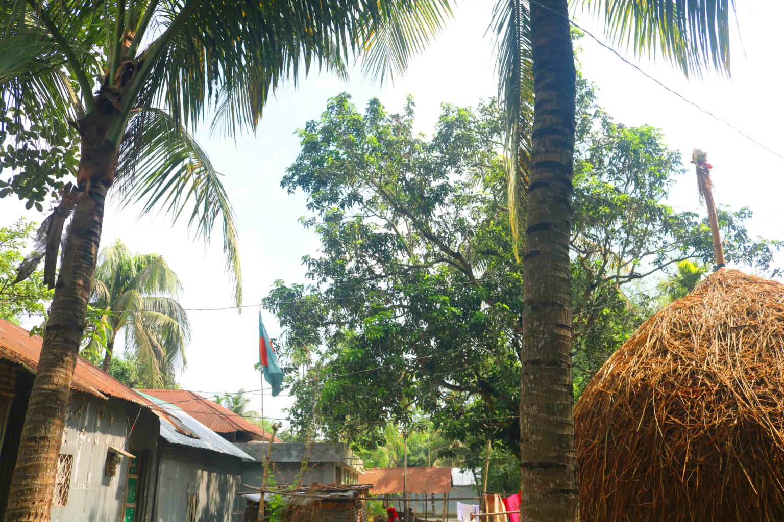 Ghar Tree village people & roads stock photos in Bangladesh - MasterBundles