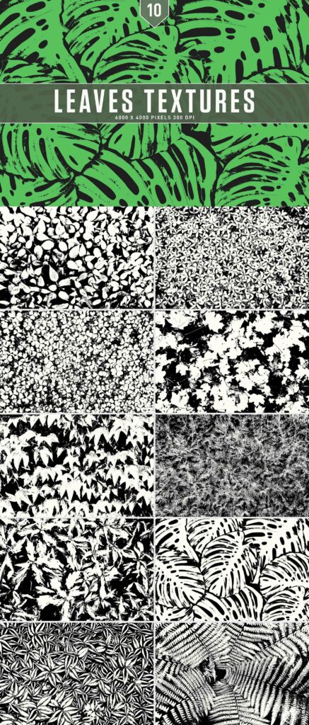 Leaves Textures – MasterBundles