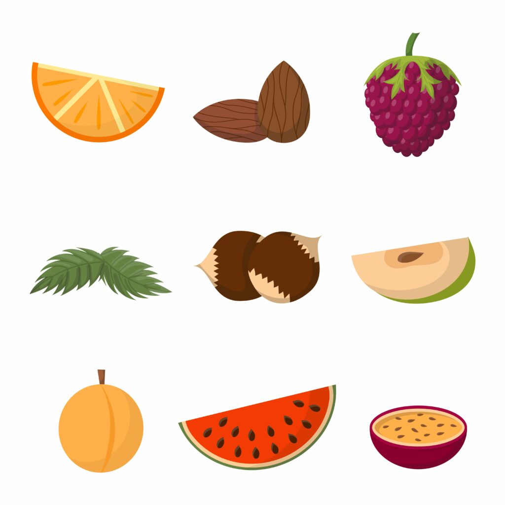 Fresh berries fruits vector – MasterBundles