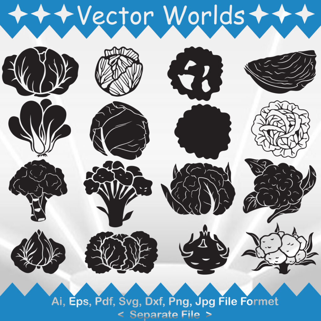 Cabbage SVG Vector Design. - MasterBundles