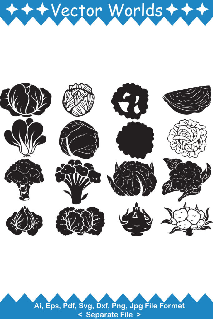 Cabbage SVG Vector Design. - MasterBundles