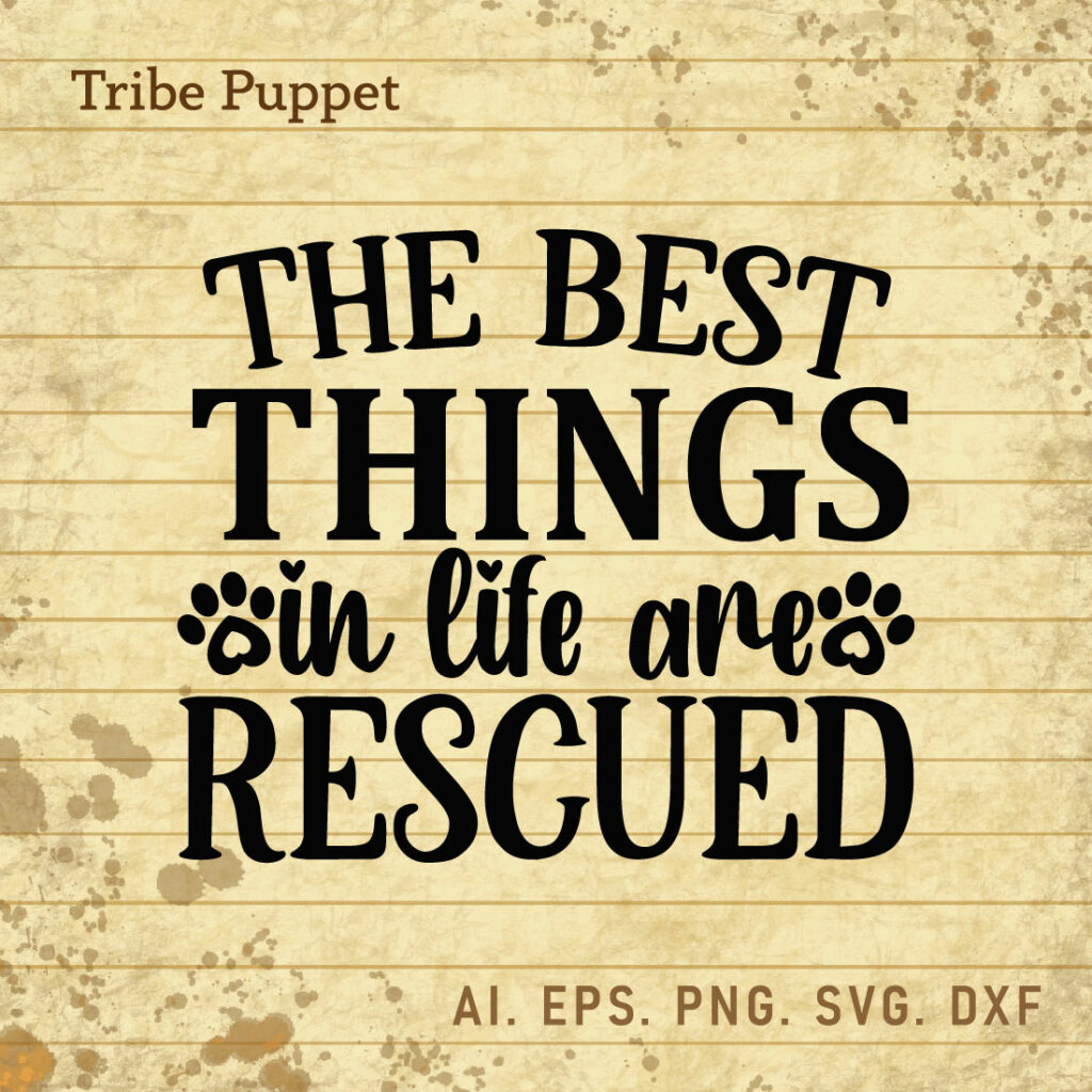 Animal Typography - MasterBundles