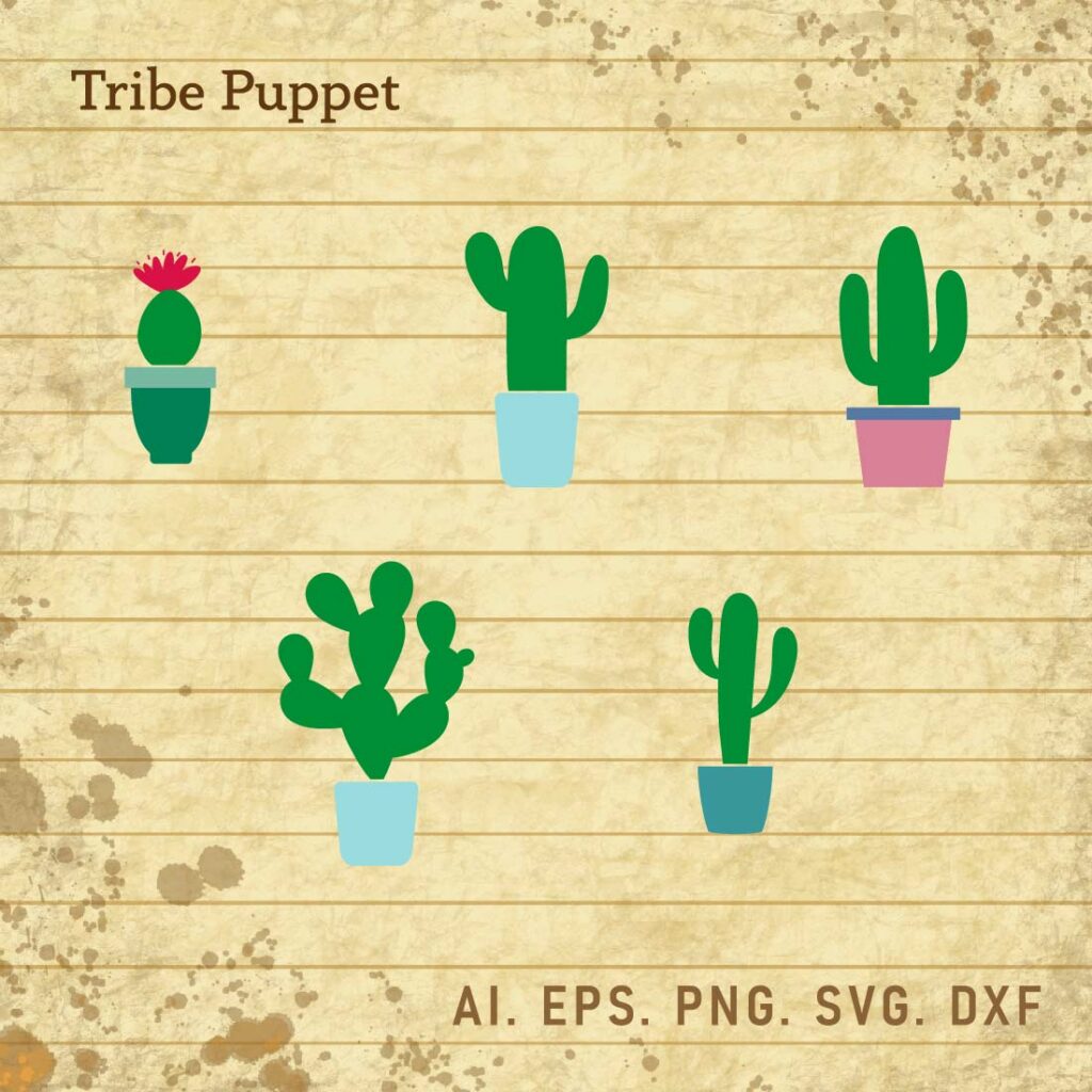 Cactus Bundle - MasterBundles