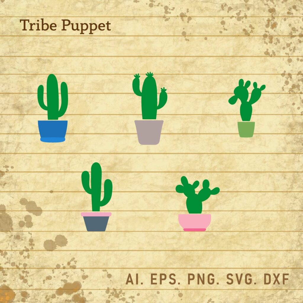 Cactus Bundle - MasterBundles