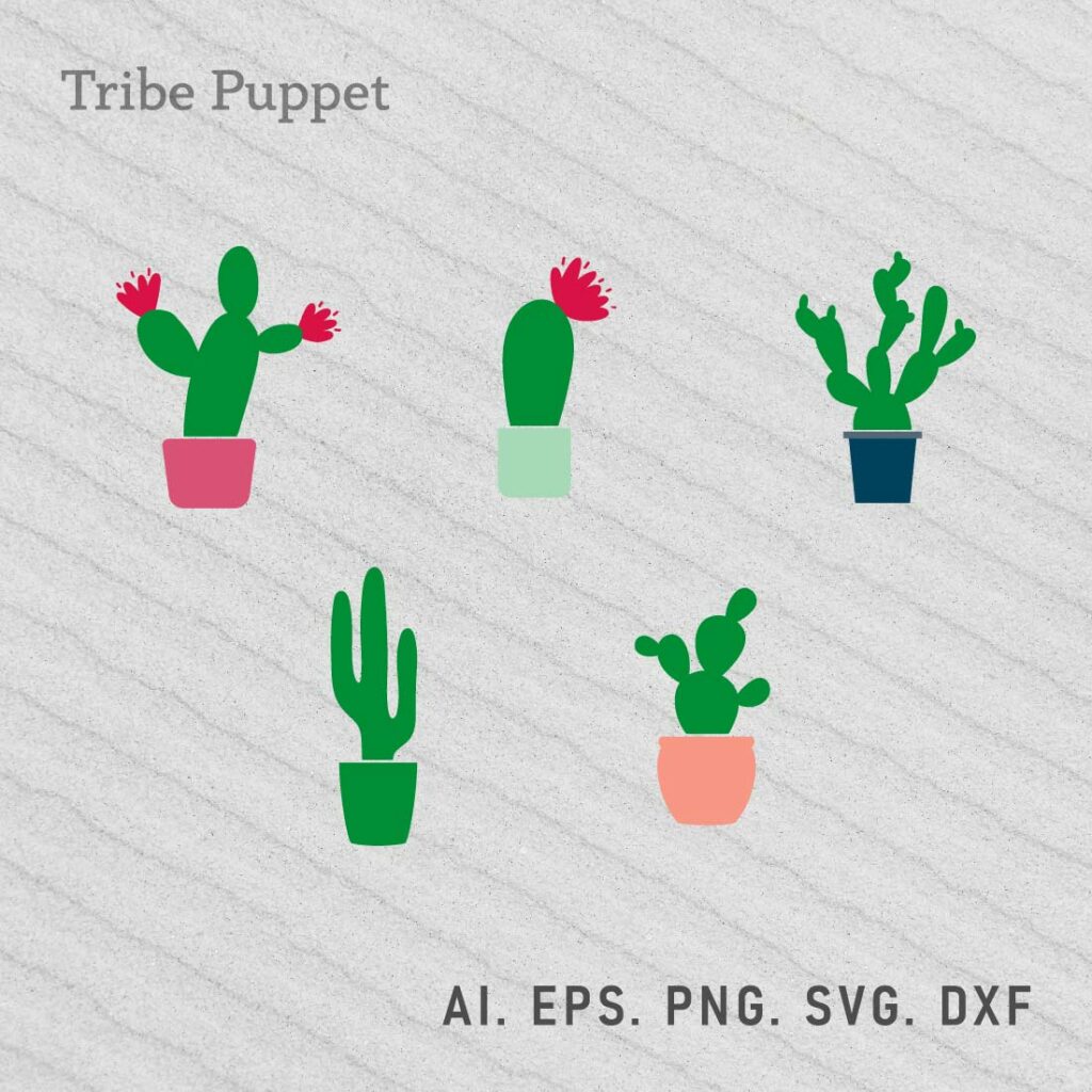 Cactus Bundle - MasterBundles