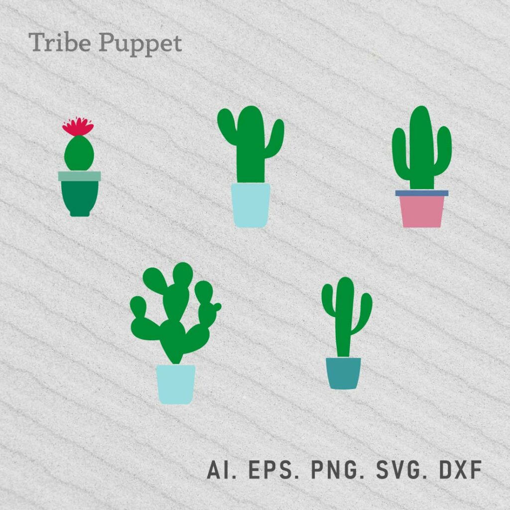 Cactus Bundle - MasterBundles