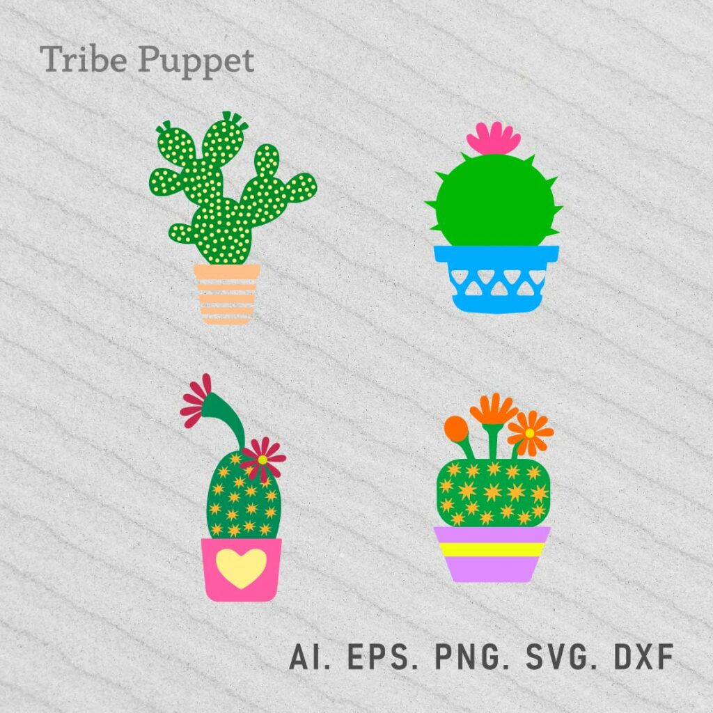 Cactus Bundle - MasterBundles