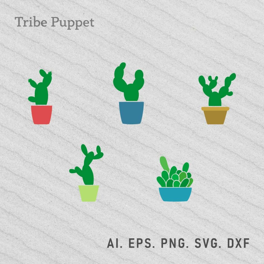 Cactus Bundle - MasterBundles