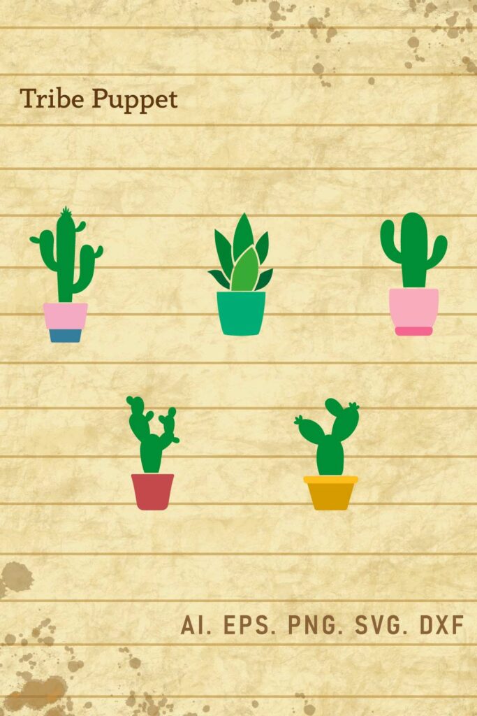 Cactus Bundle - MasterBundles