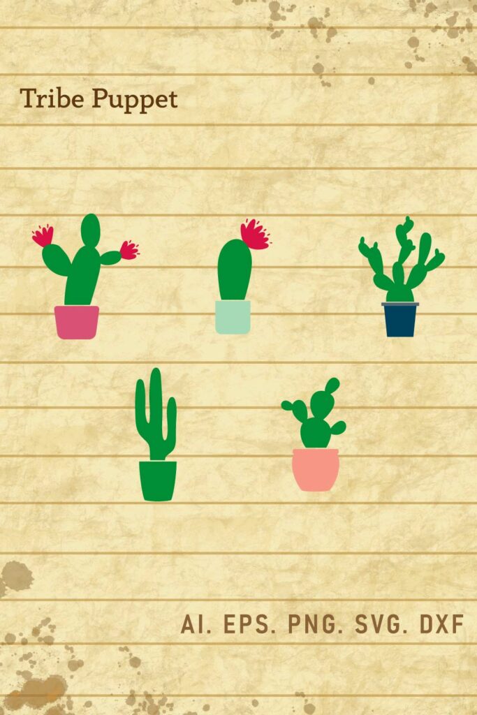 Cactus Bundle - MasterBundles