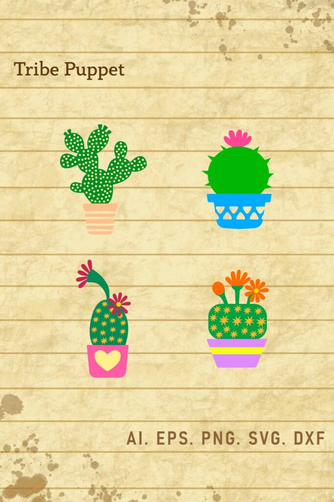 Cactus Bundle - MasterBundles