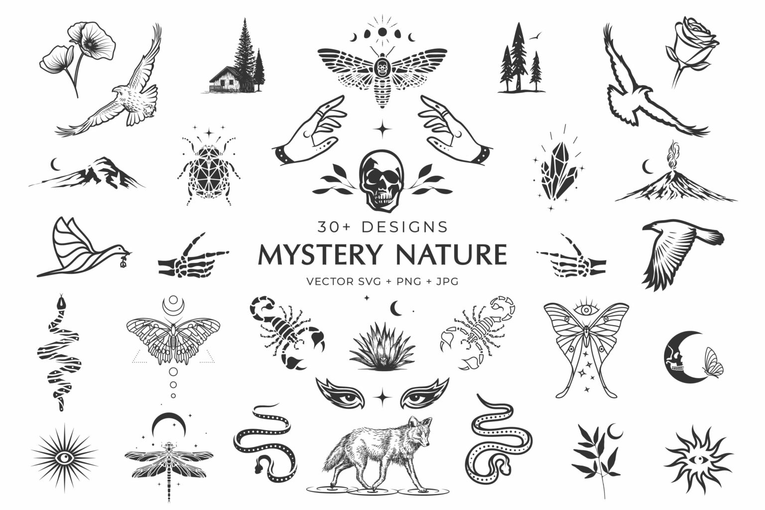 Mystery Nature vector clip art. – MasterBundles