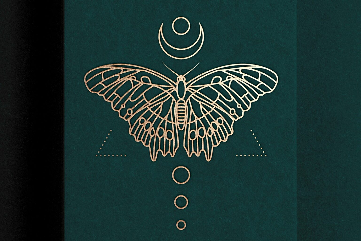 Mystery Nature vector clip art. – MasterBundles