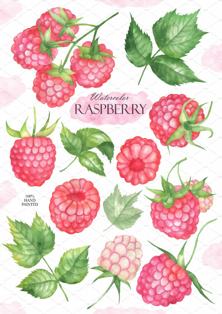 Watercolor Raspberry – MasterBundles