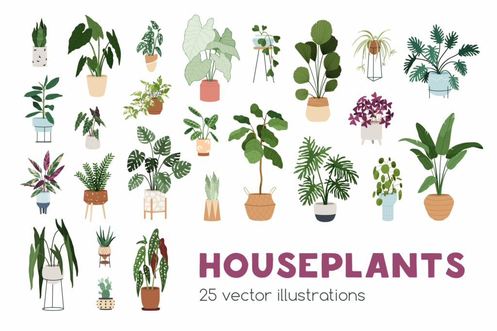 Trendy house plants in pots set – MasterBundles