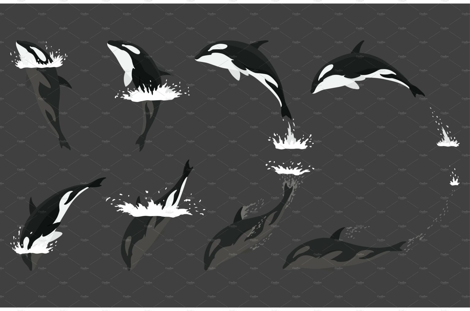 Orca animation in water set – MasterBundles