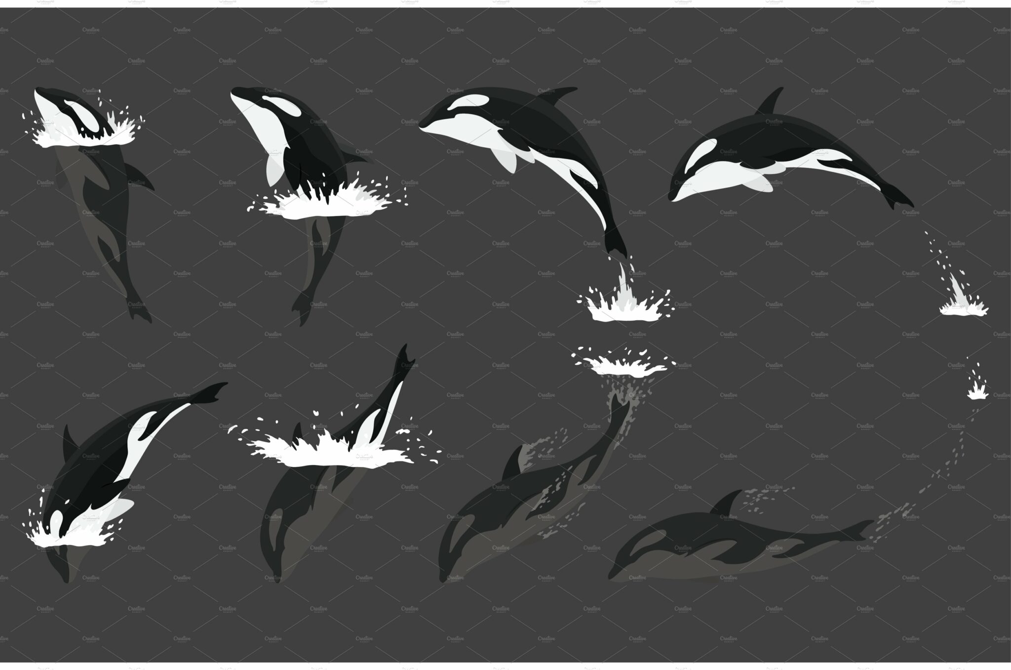 Orca animation in water set – MasterBundles