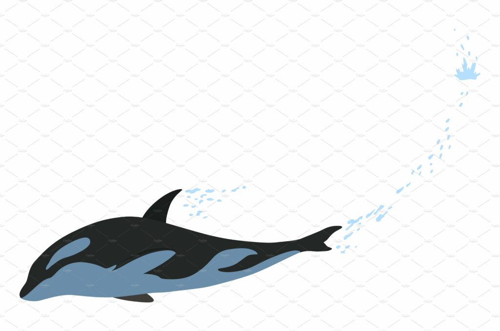 Orca animation in water – MasterBundles