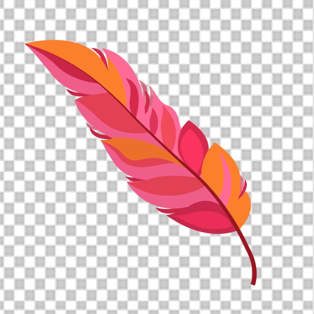 12 Colorful Bird's Feathers Flat Item Set - MasterBundles