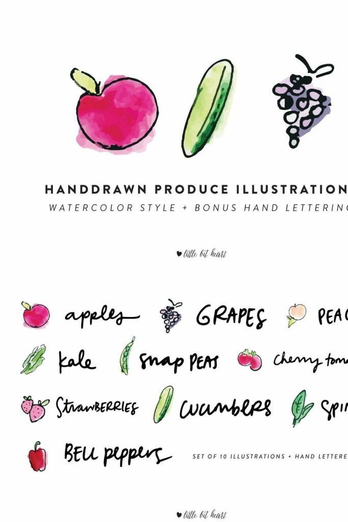 10 Handdrawn Produce Illustrations – MasterBundles