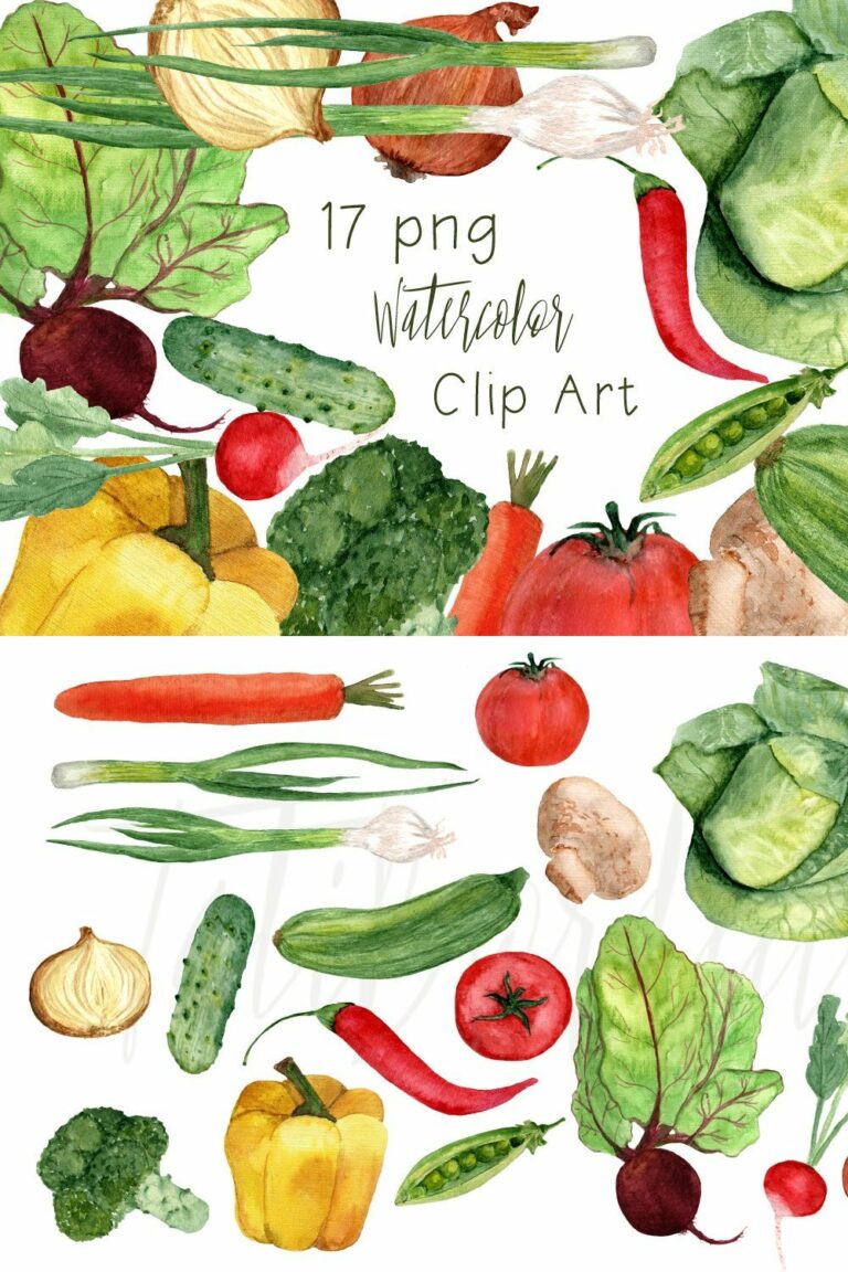 17 Watercolor Vegetables Clip Art – MasterBundles