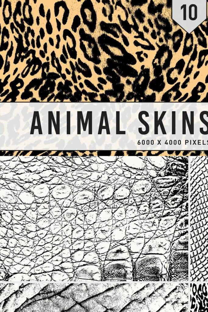 Animal Skins Textures – MasterBundles