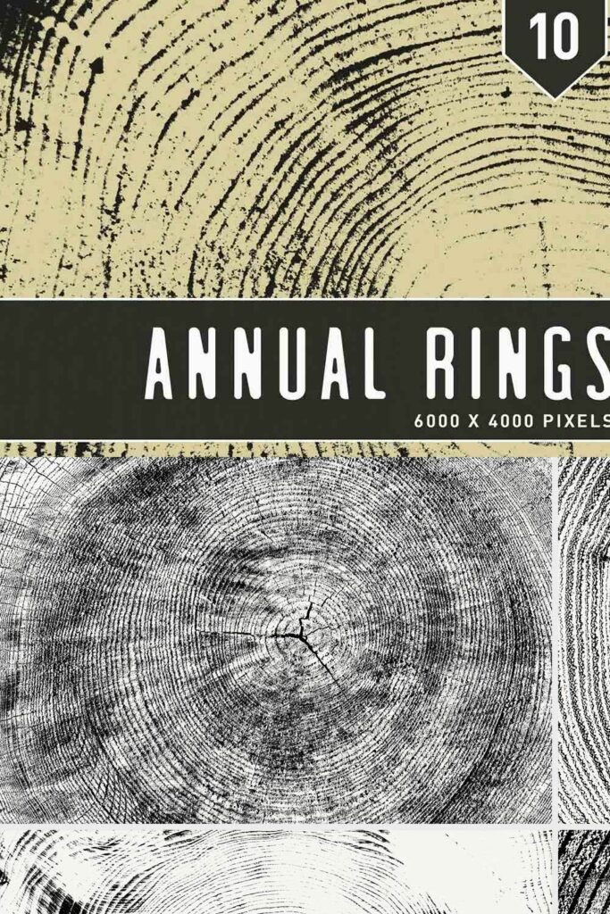 Annual Rings Textures – MasterBundles