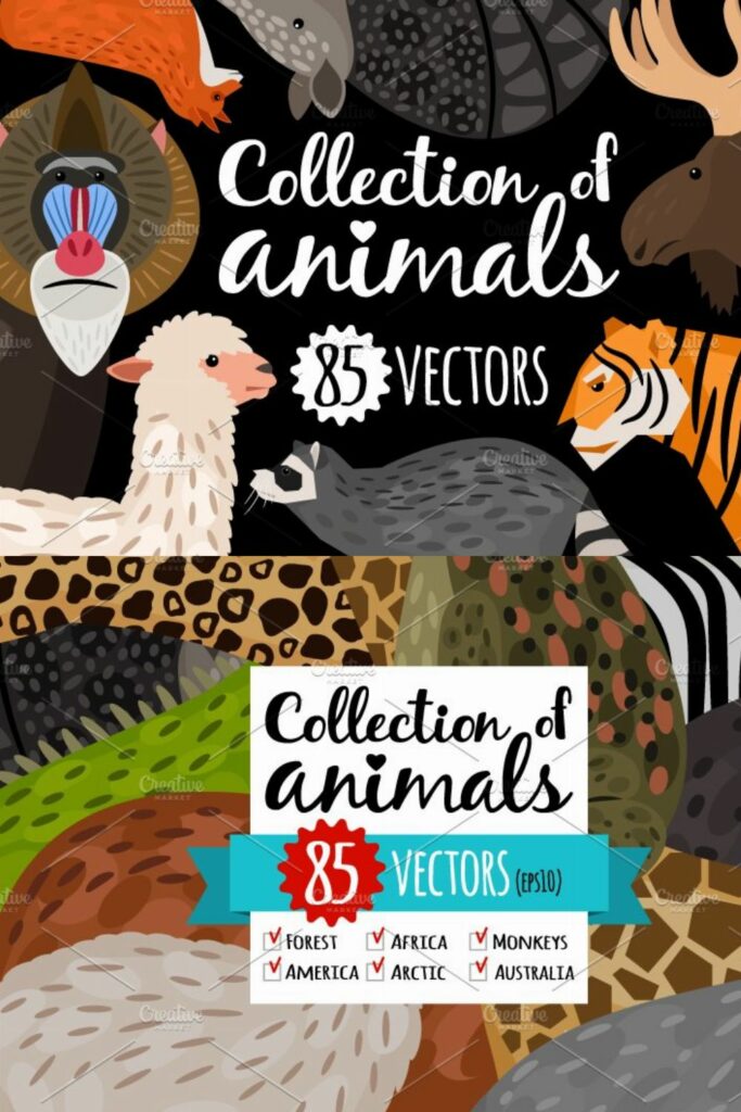 Big Set of Animals – MasterBundles
