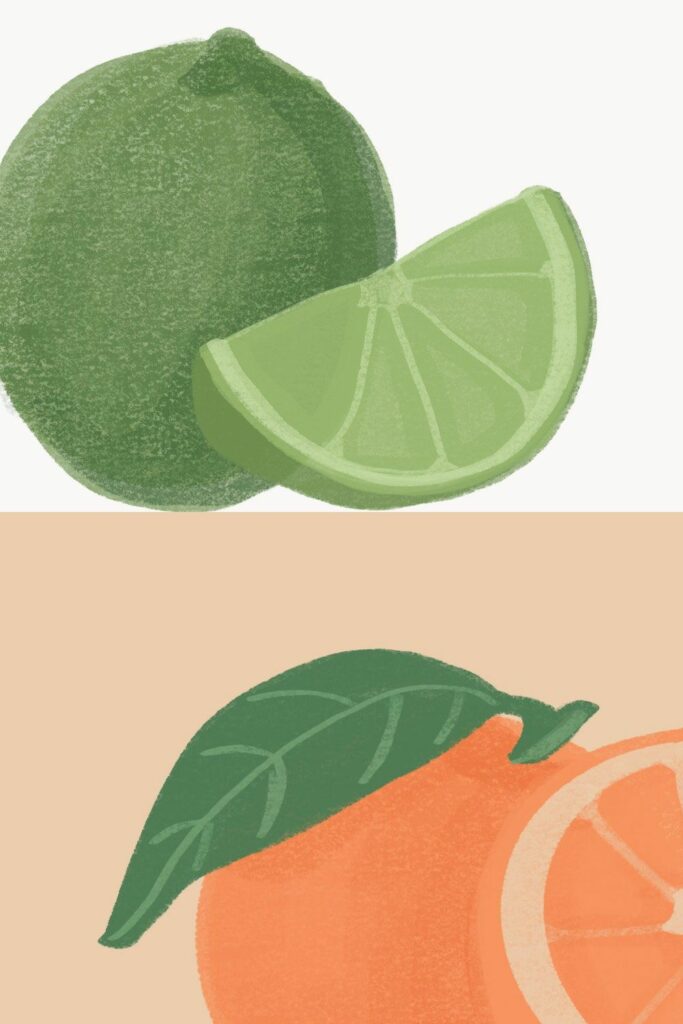 Citrus Fruit Clip Art, Orange, Lemon – MasterBundles