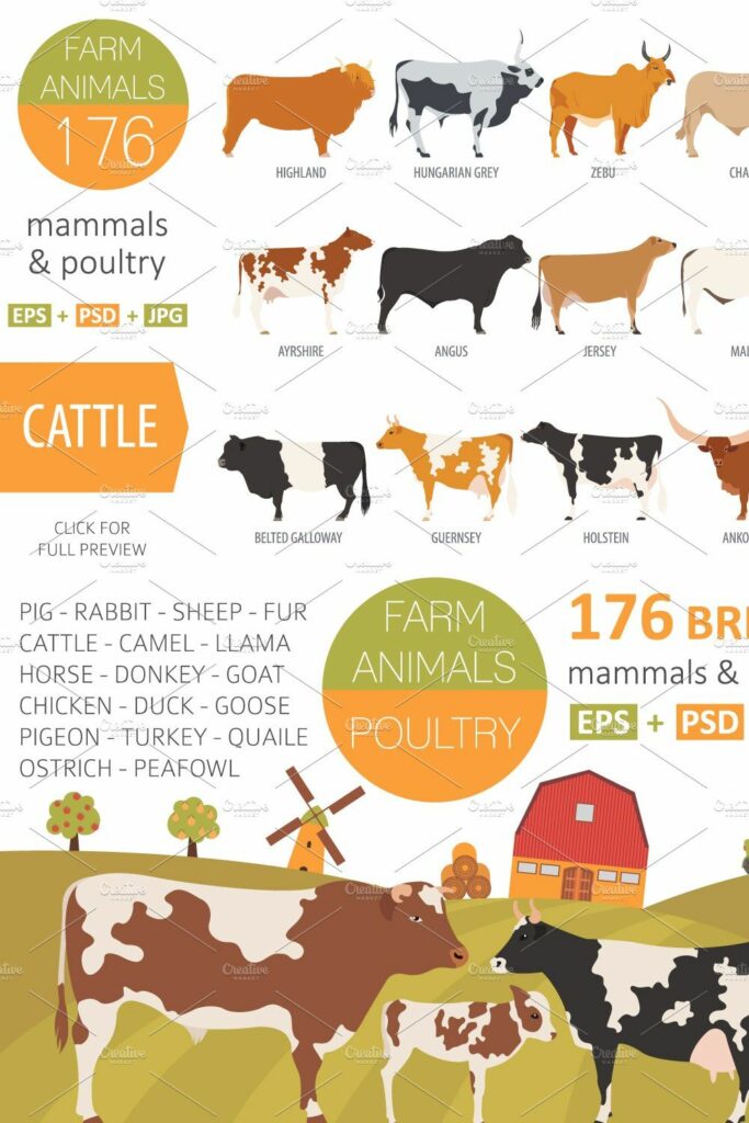 Farm animal & poultry big set – MasterBundles