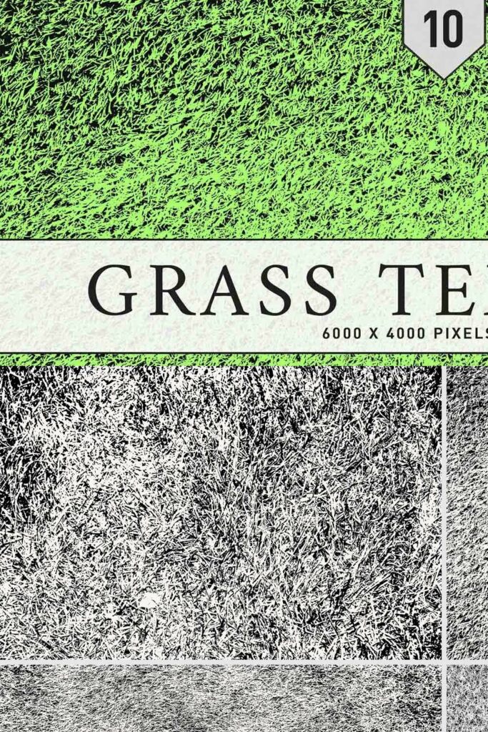 Grass Textures – MasterBundles