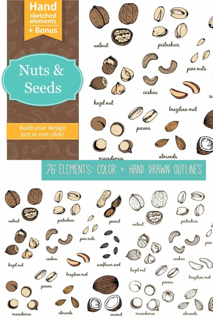 Nuts and seeds with seamless pattern – MasterBundles