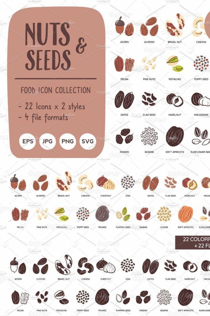 Nuts & Seeds Food Icon Set – MasterBundles