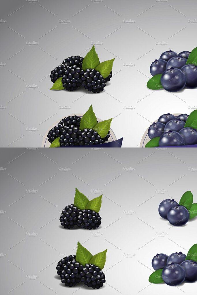 Realistic Berry labels set – MasterBundles