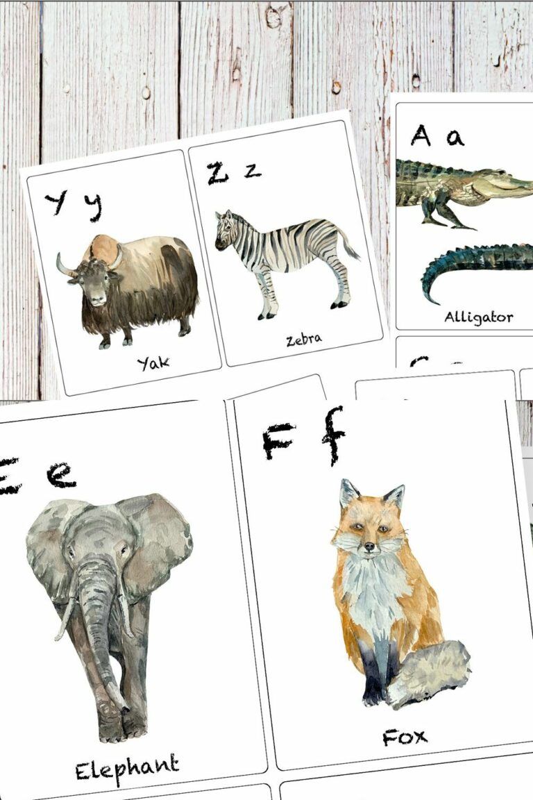 Watercolor ABC Animals Flashcards – MasterBundles