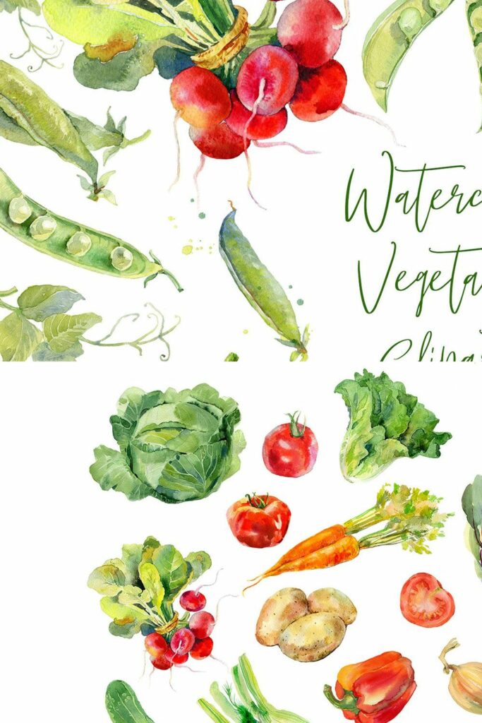Watercolor vegetables set – MasterBundles