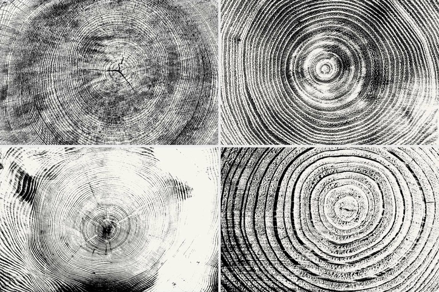 Annual Rings Textures – MasterBundles