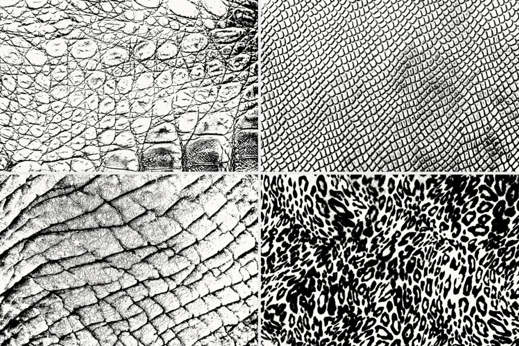 Animal Skins Textures – MasterBundles