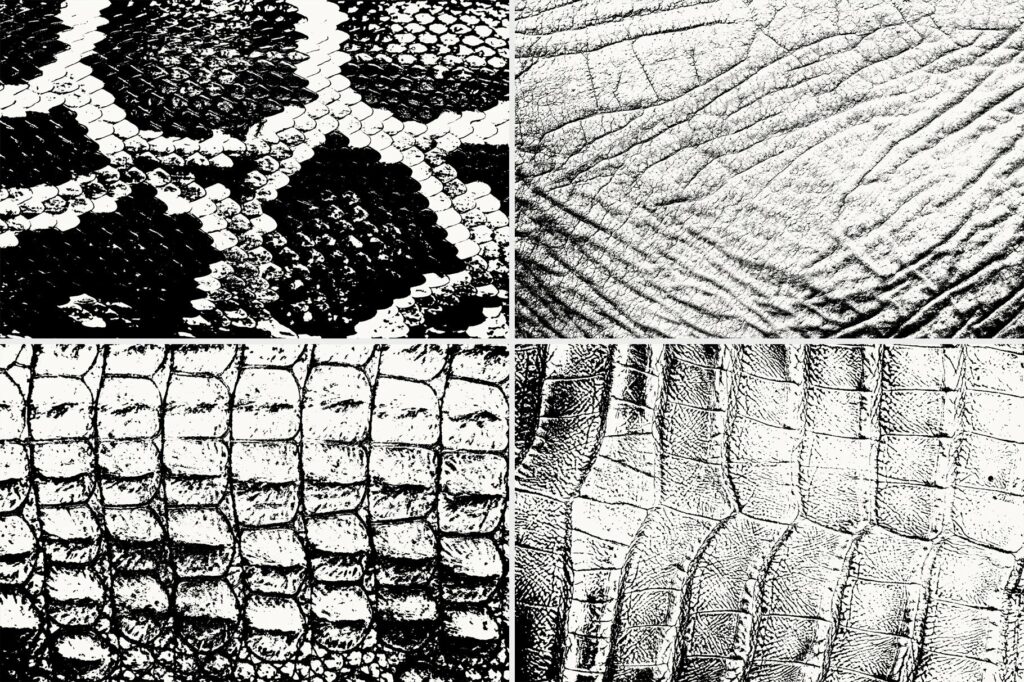 Animal Skins Textures – MasterBundles