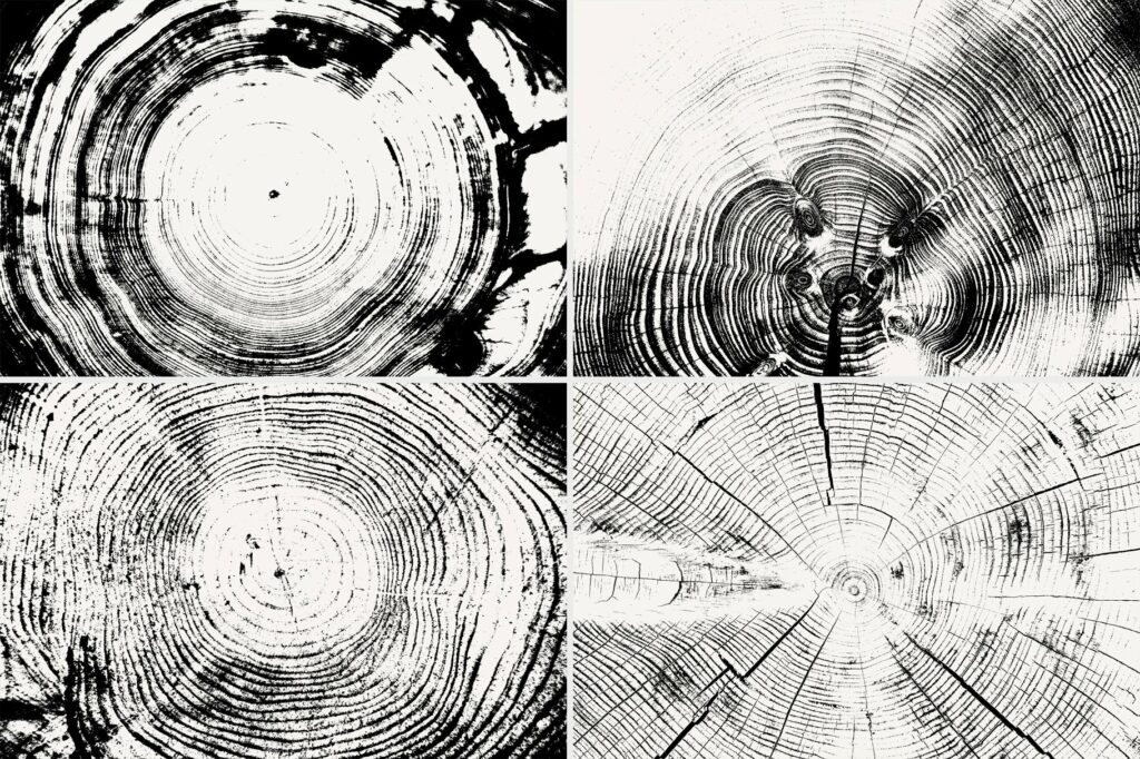 Annual Rings Textures – MasterBundles