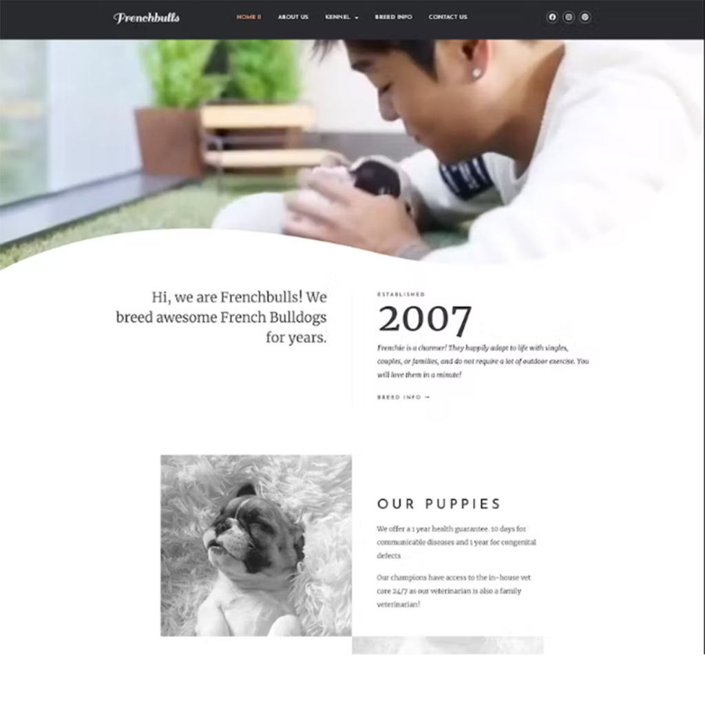 Frenchbulls - Dog Breeder Template - MasterBundles