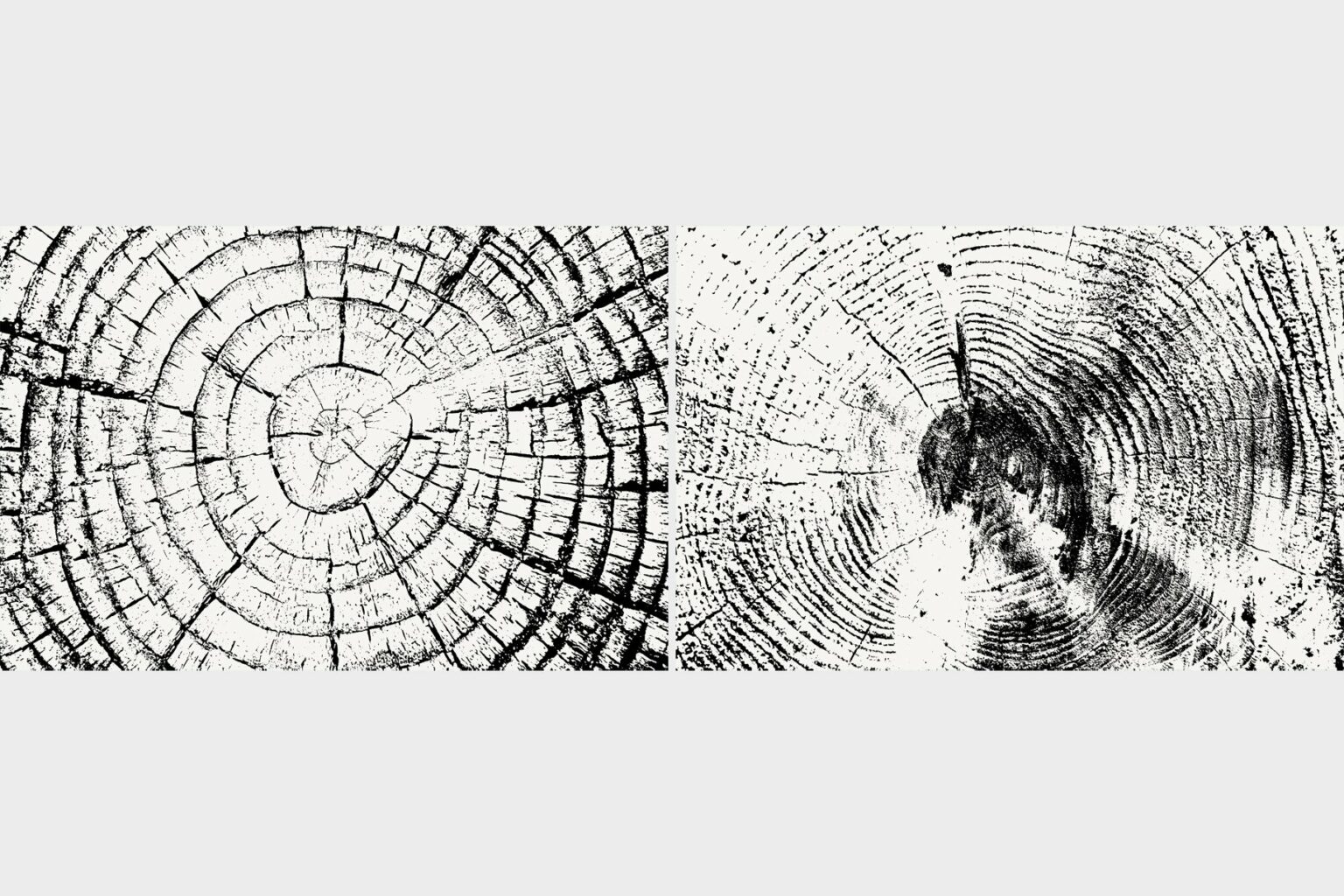 Annual Rings Textures – MasterBundles