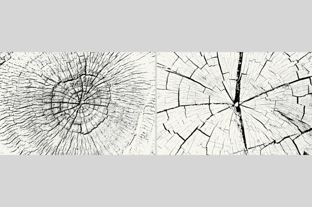 Stump Textures – MasterBundles