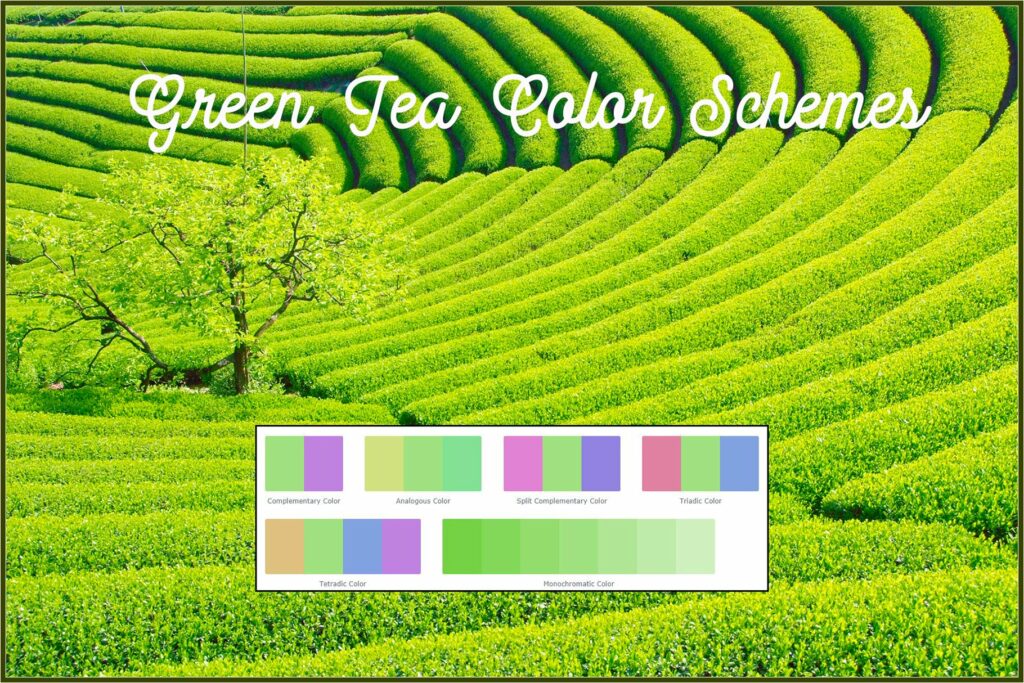 Tea Leaves Gradients – MasterBundles