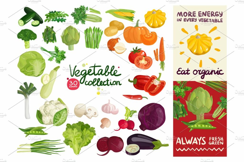 Cartoon Vegetables Set – MasterBundles