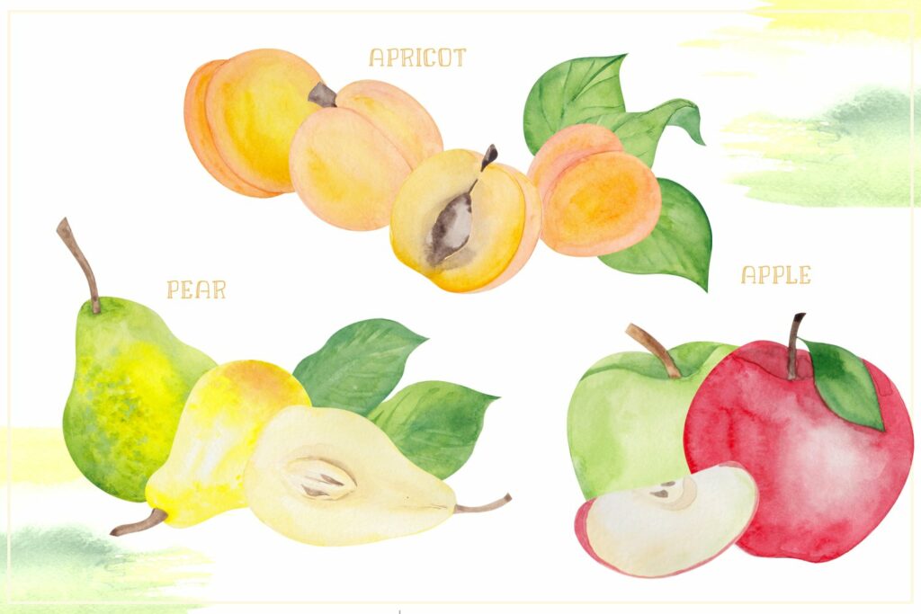 Fresh Bundle. Vegetables and fruits – MasterBundles