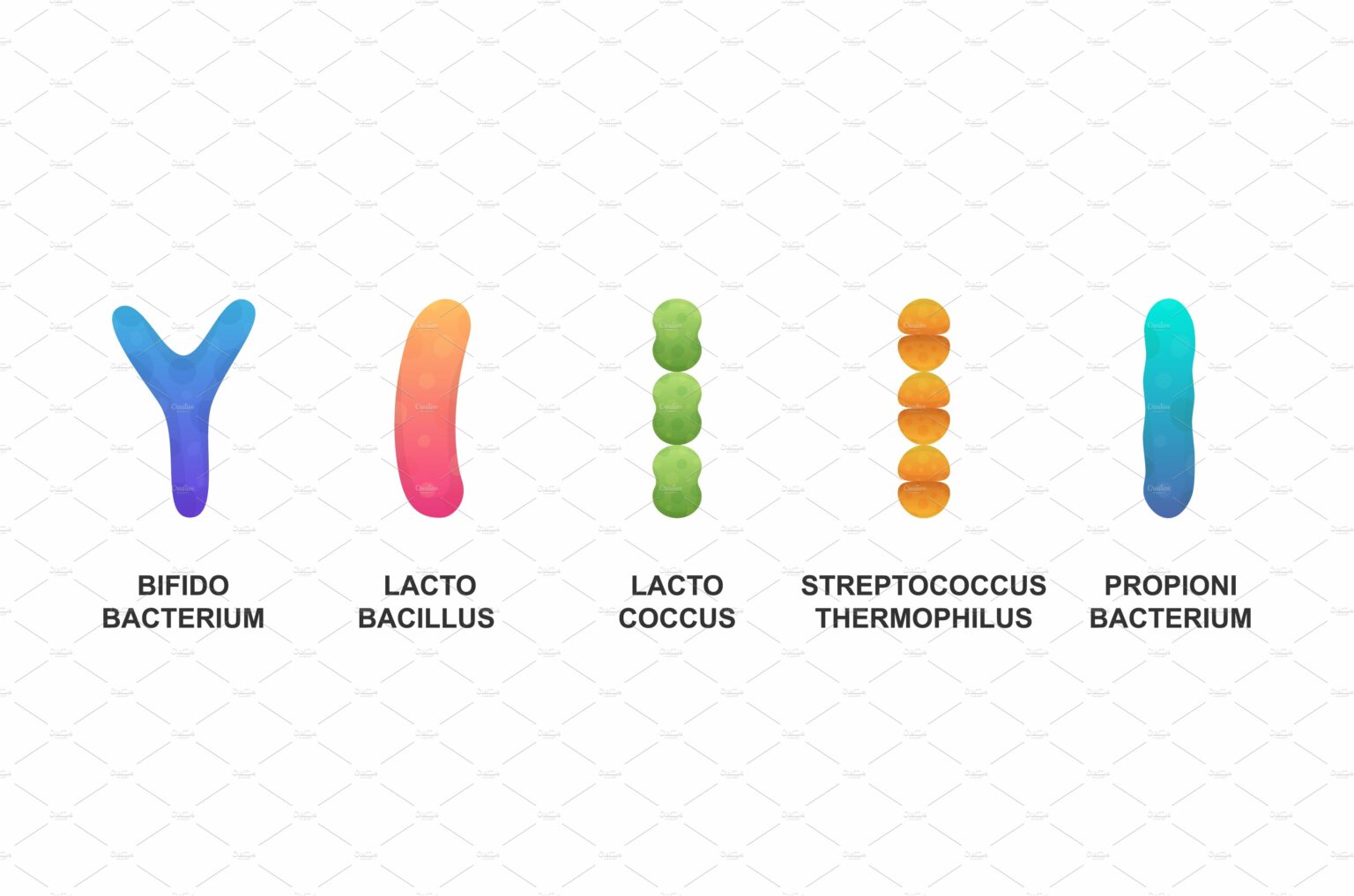 Probiotics. Microscopic probiotics – MasterBundles