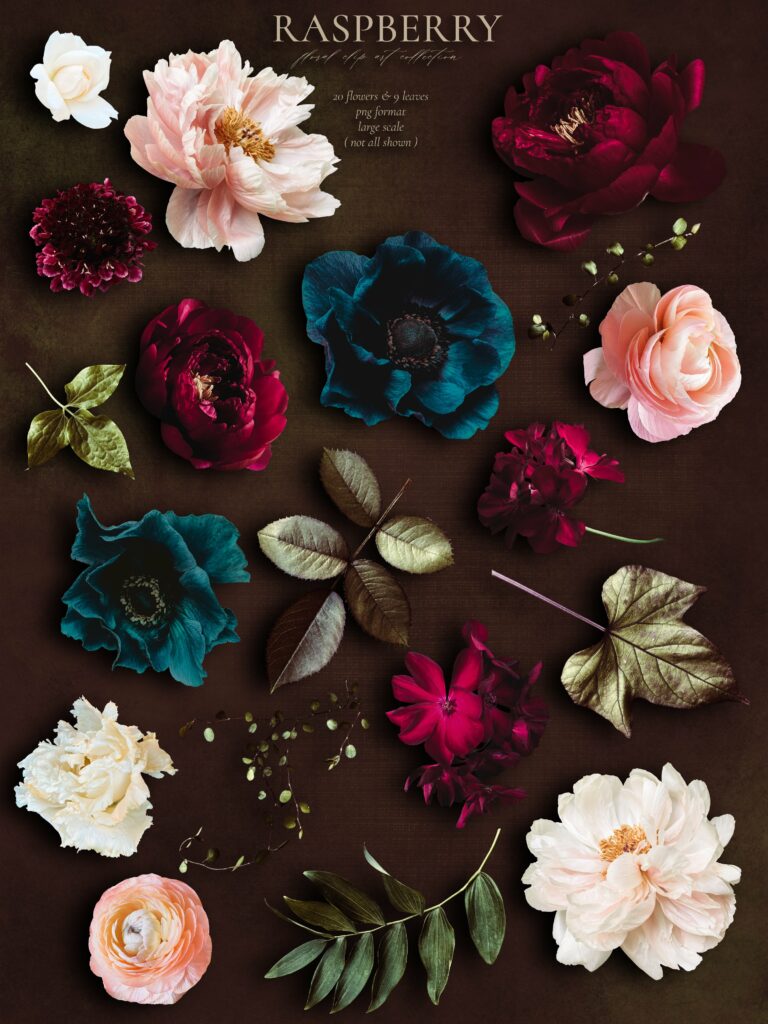 Raspberry Floral Clip Art Collection – MasterBundles