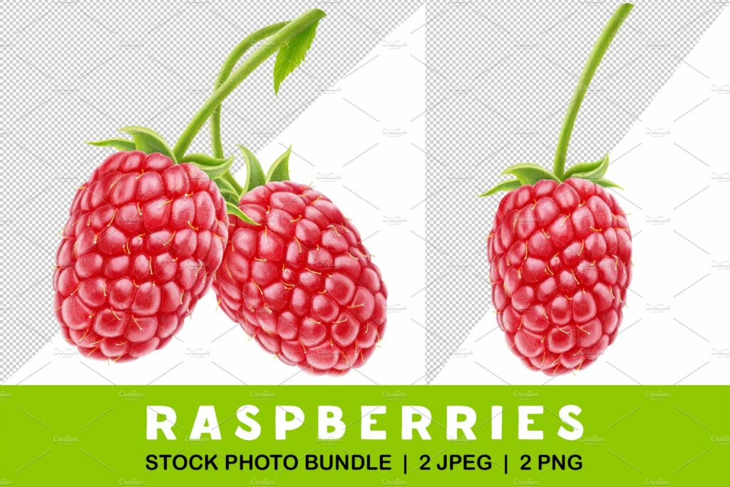 Raspberry with long stem – MasterBundles